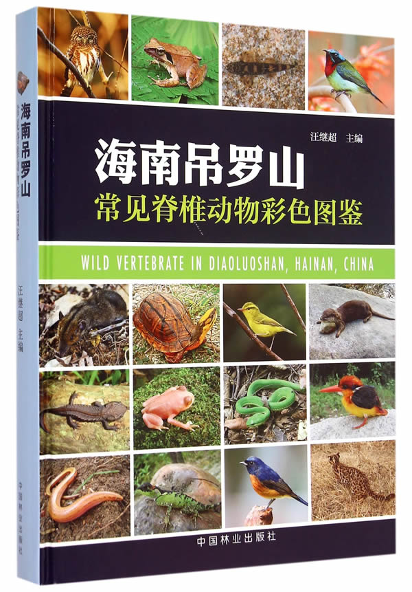 海南吊罗山常见脊椎动物彩色图鉴 科普读物 汪继超主编 中国林业出版社 9787503874925