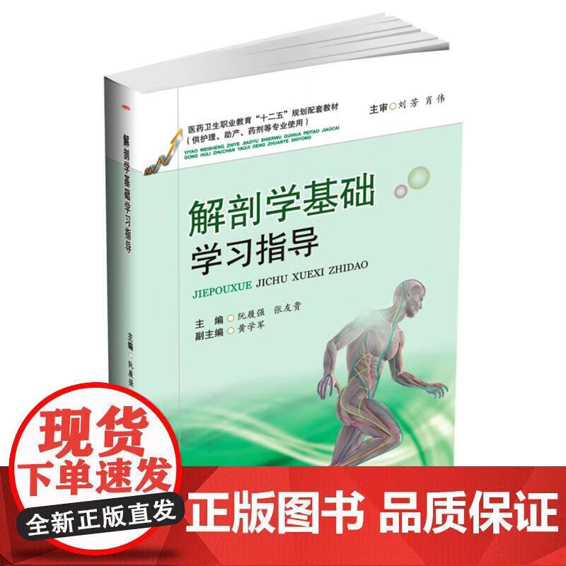 解剖学基础学习指导