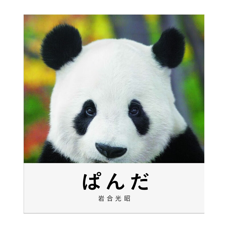 熊猫 ぱんだ 进口原版日文摄影作品集艺术 善本图书