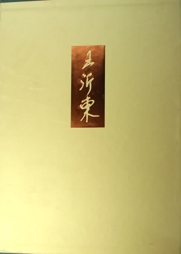 中国当代油画名家画集:王沂东(精装) 绘画  人民美术出版社 9787102038186