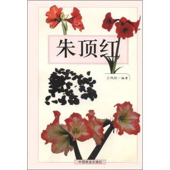 朱顶红 王凤祥【书】