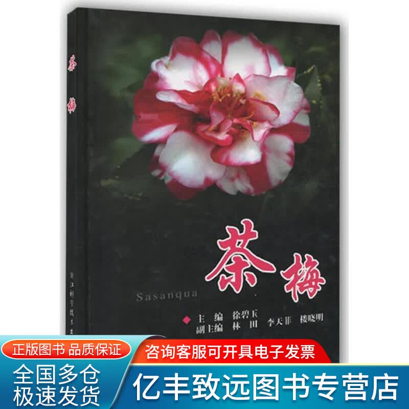 茶梅