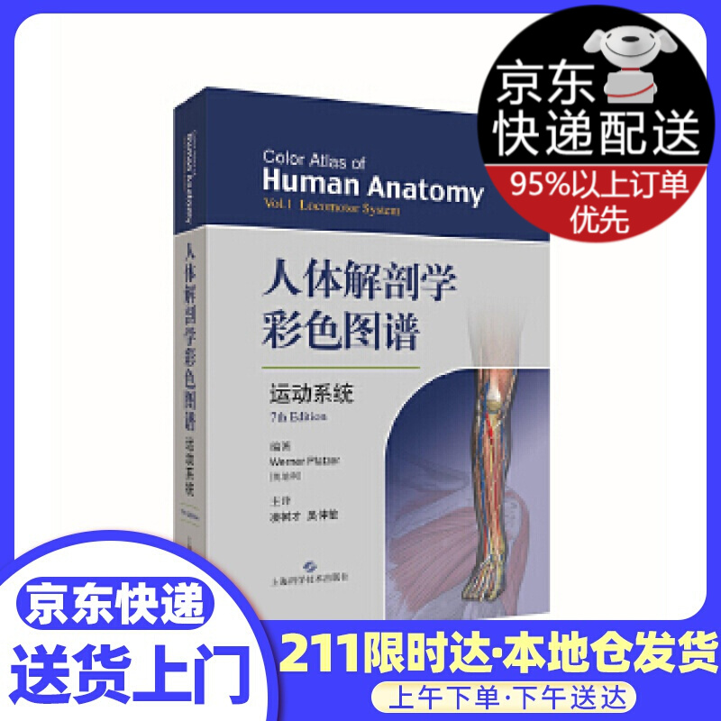 人体解剖学彩色图谱 运动系统
