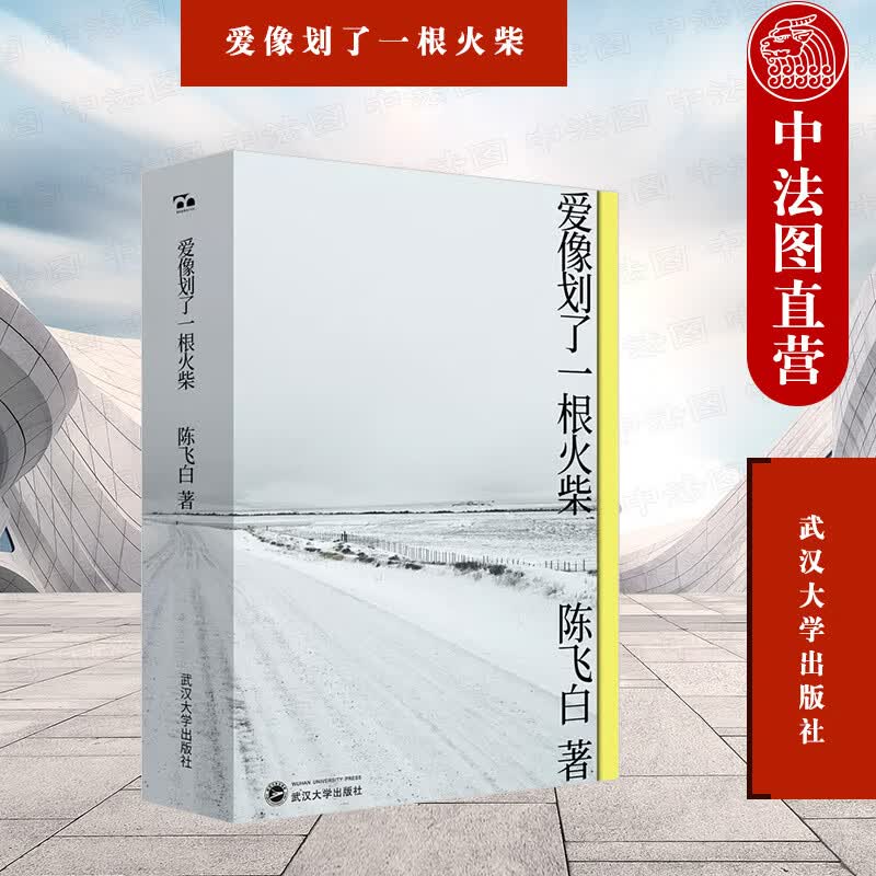 爱像划了一根火柴 陈飞白 武汉大学出版社 9787307215856