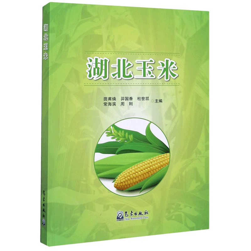 湖北玉米