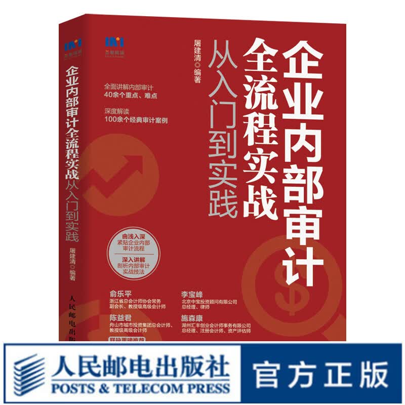 企业内部审计全流程实战从入门到实践