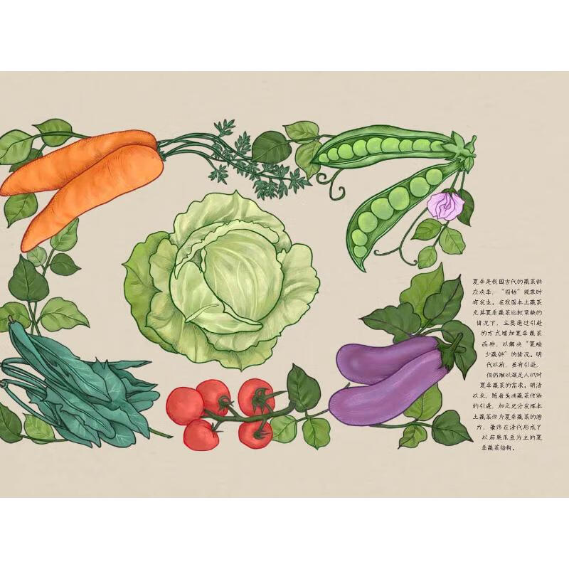 食日谈 餐桌上的中国故事 图书