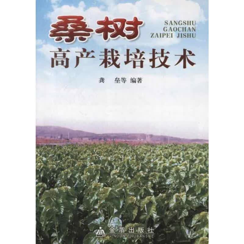 桑树高产栽培技术