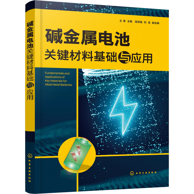 碱金属电池关键材料基础与应用 图书