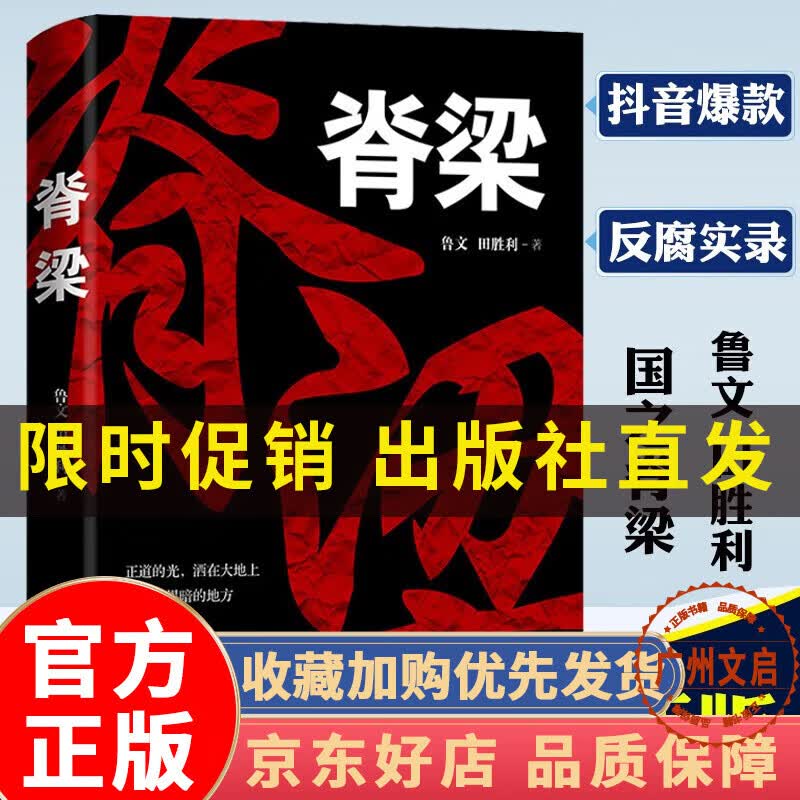 脊梁 鲁文田胜利著 共和国的脊梁小说正能量反腐电视剧官场小说正道的光洒在大地上广东人民出版社书JST 脊梁