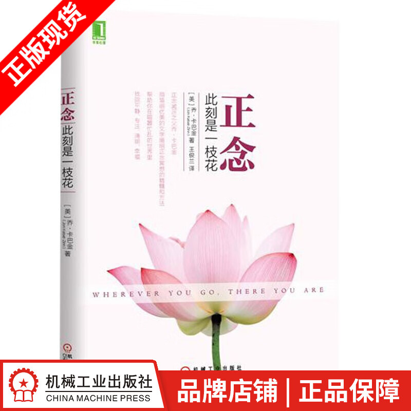 现货包邮 正念：此刻是一枝花|8079698