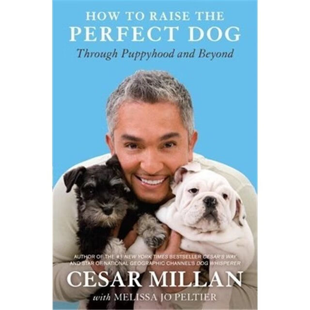 How to Raise the Perfect Dog-Cesar Millan纸质书