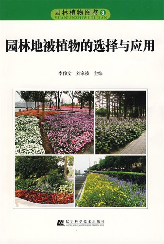 园林地被植物的选择与应用