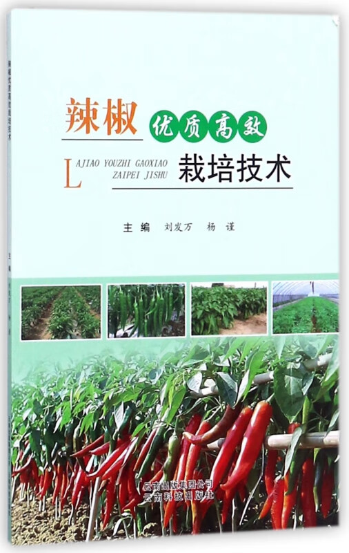 辣椒优质高效栽培技术