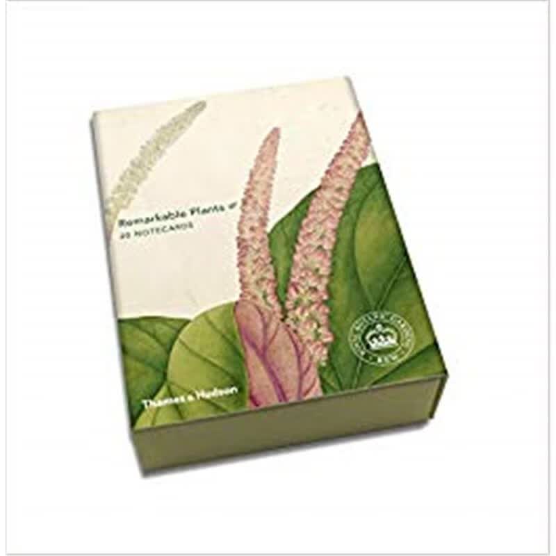 Remarkable Plants: Box of 20 Notecards