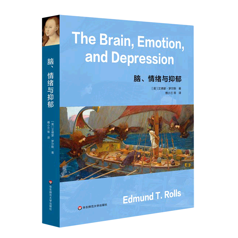脑情绪与抑郁