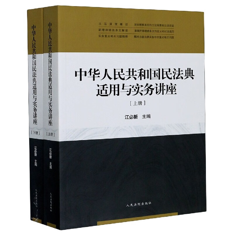 中华人民共和国民法典适用与实务讲座(上下)