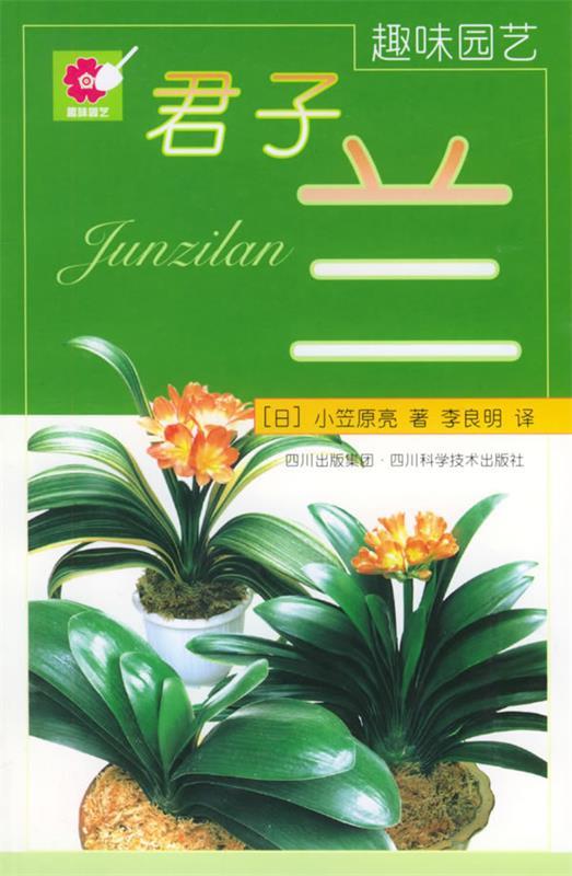 君子兰—趣味园艺