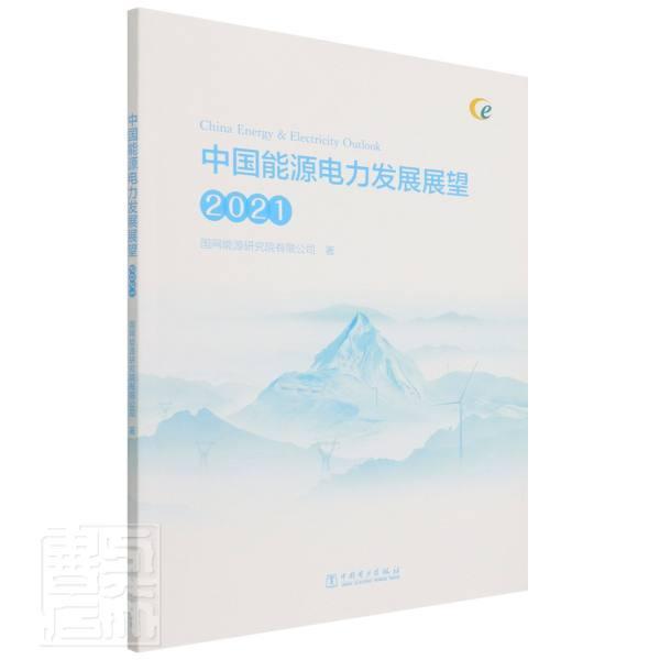 中国能源电力发展展望(2021)国网能源研究院有限公司中国电力出版社有限责任公司9787519862 书籍