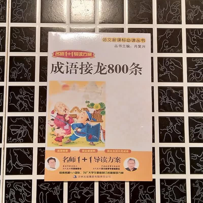 成语接龙800条 肖复兴编 语文丛书 汉语-成语-少儿读物