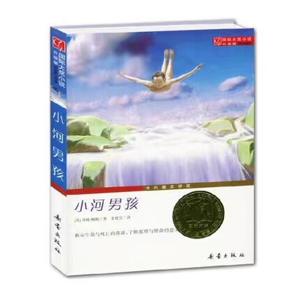 风与树的歌安房直子著 彭懿译少年社三四五年级课外 小河男孩