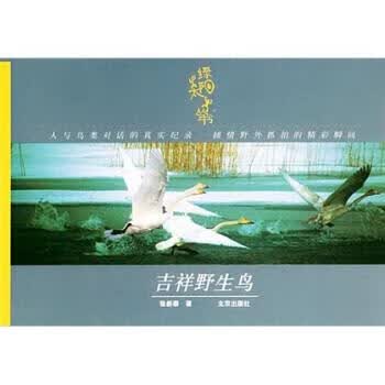 吉祥野生鸟 张新泰 著