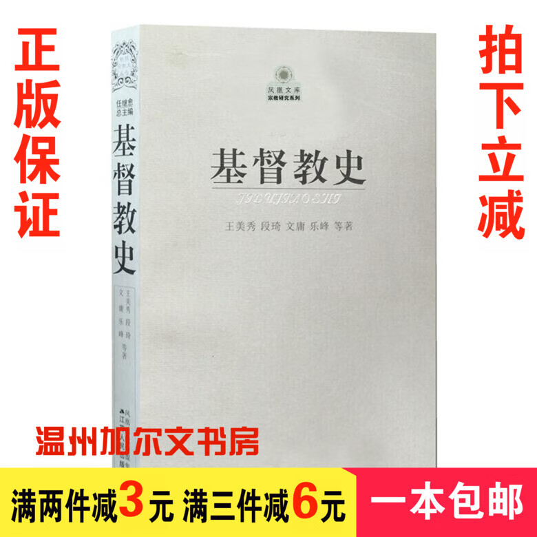 宗教史丛书 基督教史 王美秀