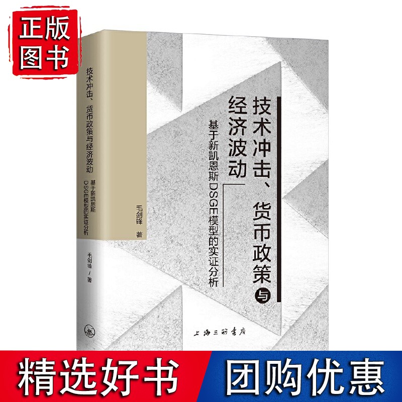 技术冲击、货币政策与经济波动