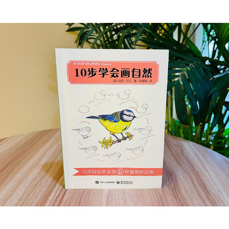 10步学会画自然