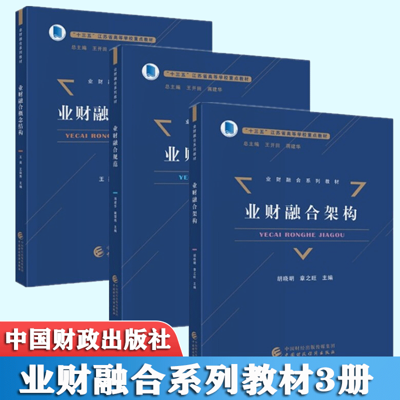 业财融合概念结构+业财融合规范+业财融合架构 中国财政经济出版社