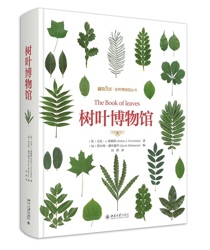 树叶博物馆