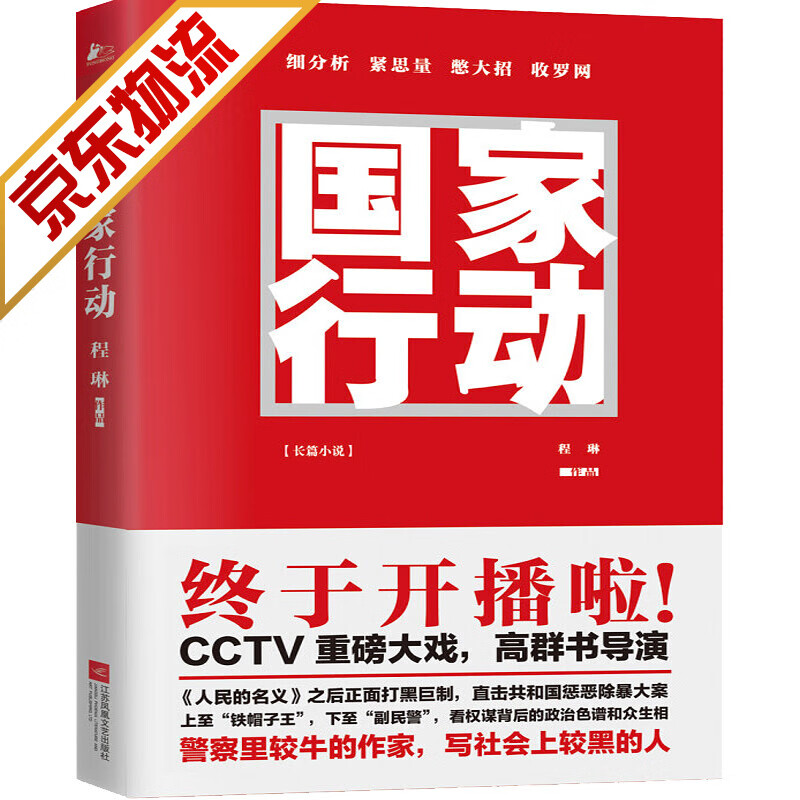 【系列自选】官场小说 国家行动 程琳 著