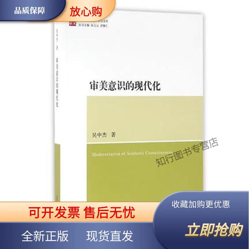 审美意识的现代化 当代中国文艺学研究文库 复旦大学出版社 图书