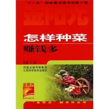 怎样种菜赚钱多