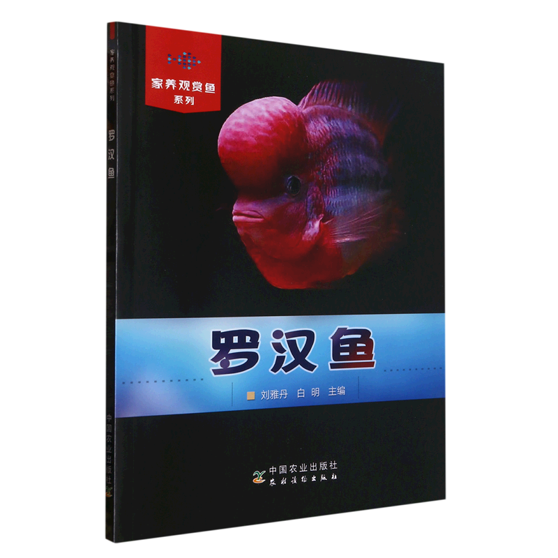 罗汉鱼/家养观赏鱼系列