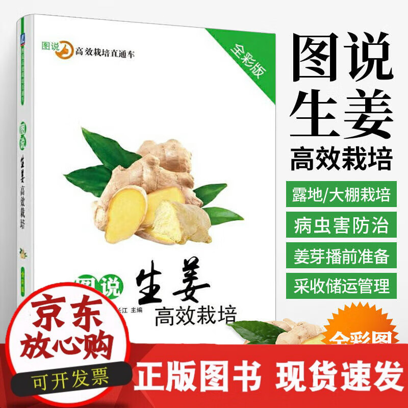 速发 生姜栽培种植技术大全书籍图说生姜高效栽培（全彩版）彭长江生姜栽培种植技术大全书籍高产优质生姜种