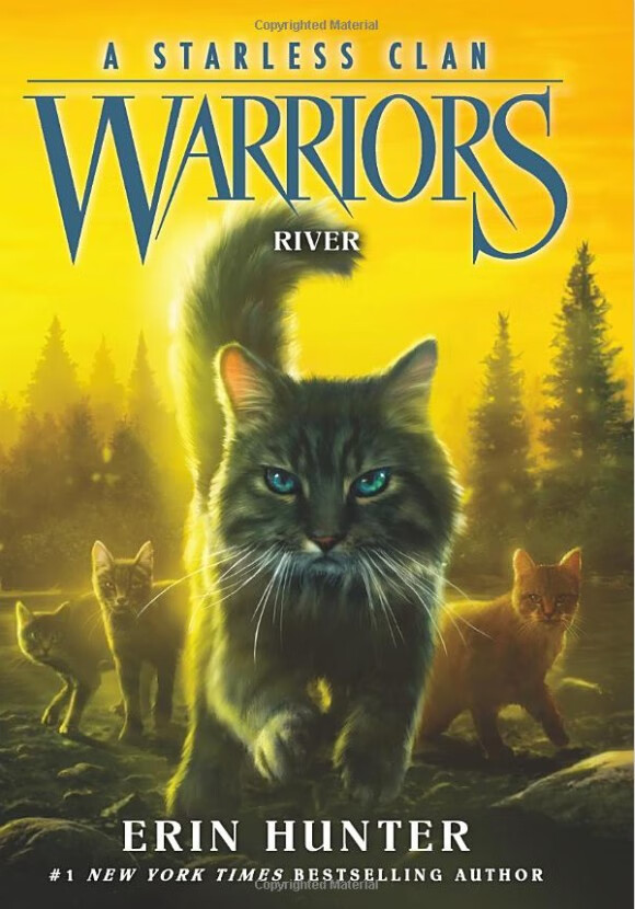 猫武士 八部曲 英文原版 Warriors: A Starless Clan 3册 音频 第八部第一册