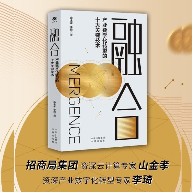 现货 融合 产业数字化转型的十大关键技术 山金孝 李琦著中译出版社 图书