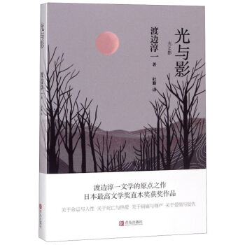 光与影 [日]渡边淳一,杜勤 9787555269397