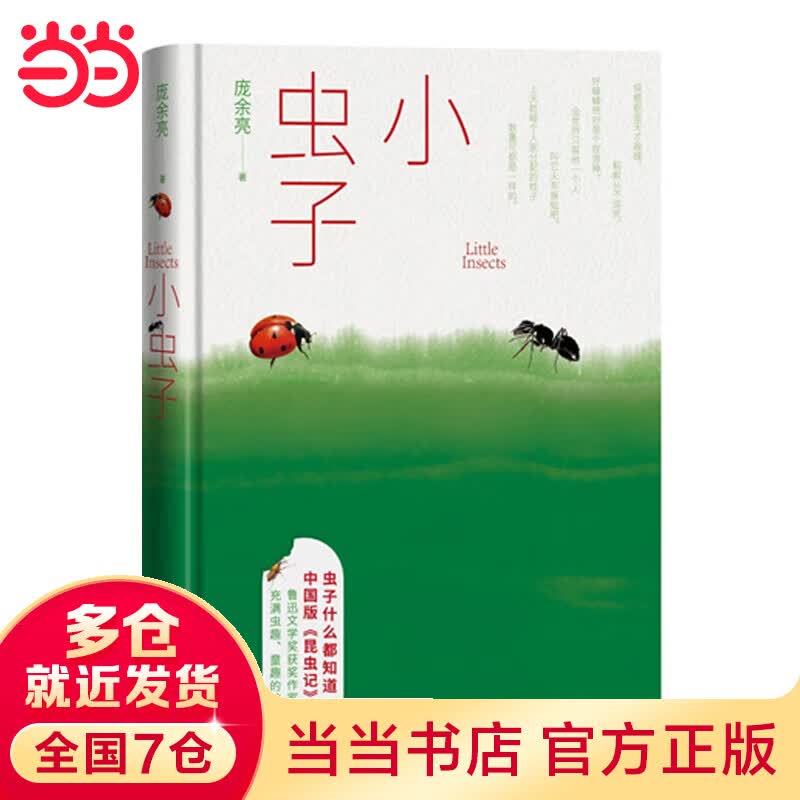 小虫子（鲁迅文学奖获奖作家庞余亮充满虫趣、童趣的神奇新作）