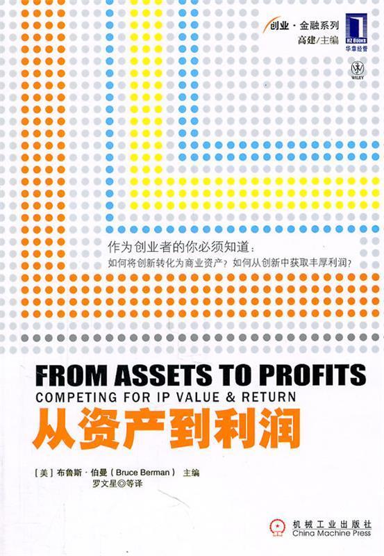 从资产到利润 罗文星 机械工业出版社