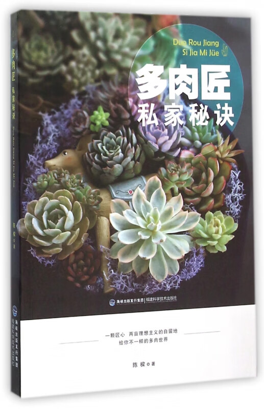 多肉匠私家秘诀