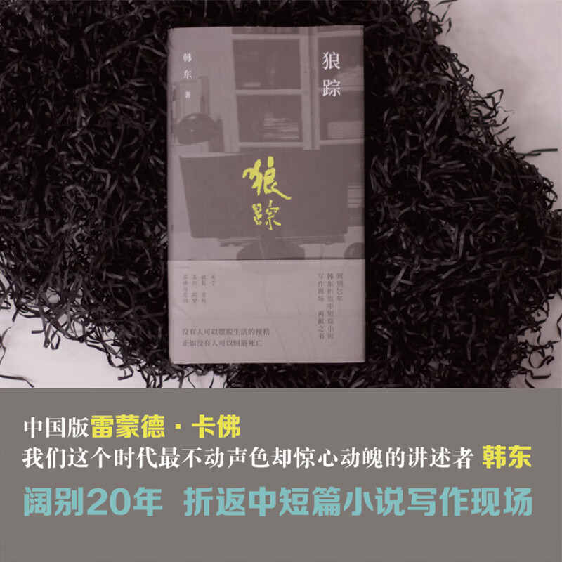 （精装）狼踪(鲁迅文学奖得主韩东中短篇选集)