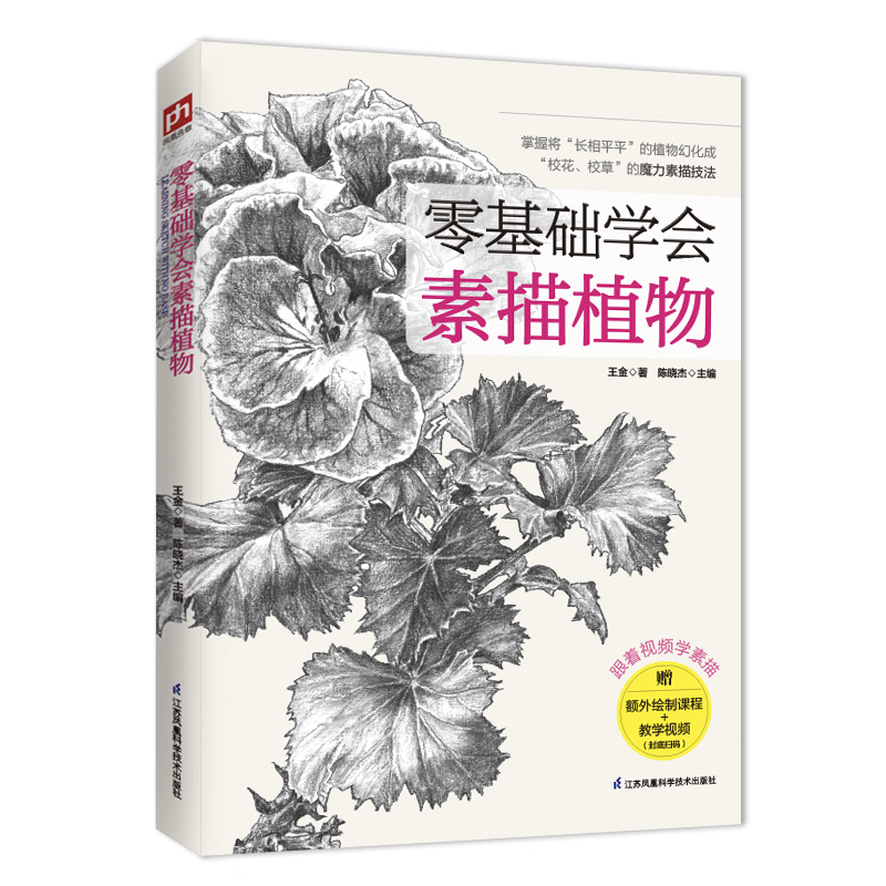 零基础学会素描植物