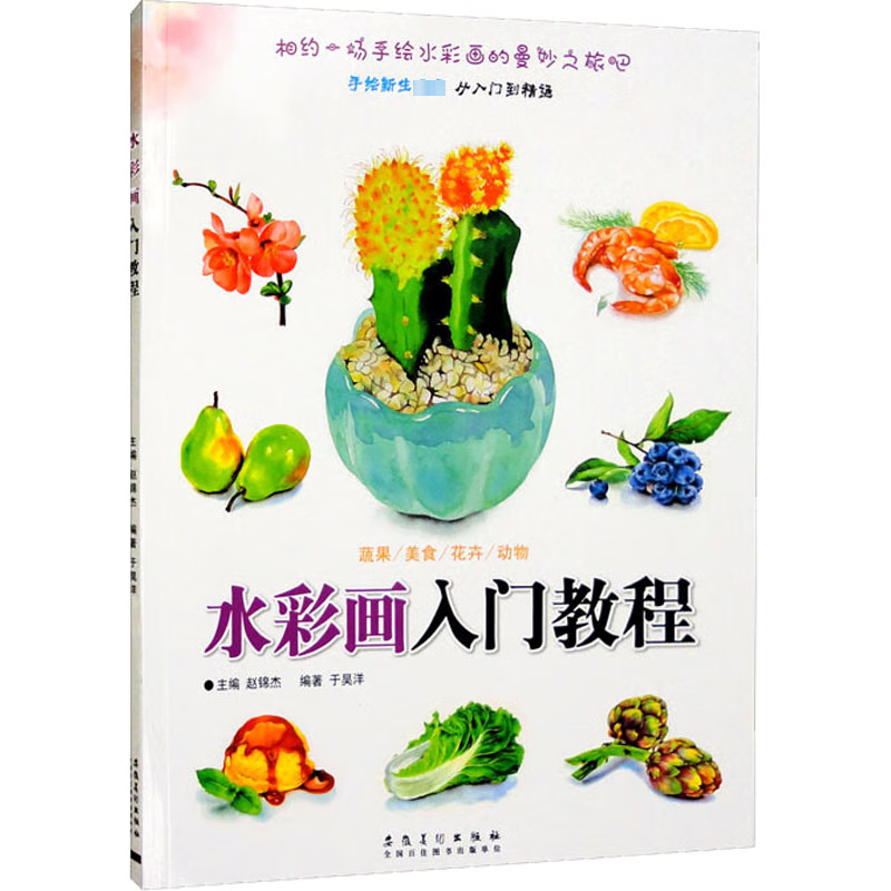 水彩画入门教程于昊洋安徽社9787539881041 绘画书籍