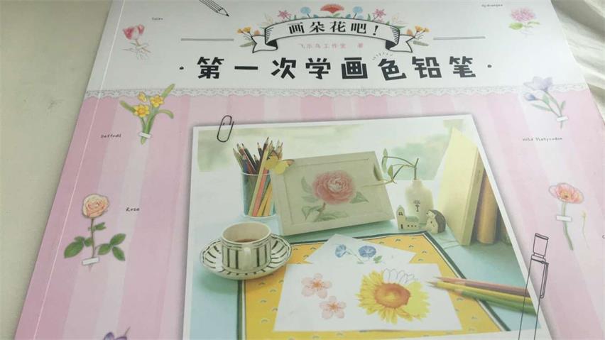 画朵花吧！次学画色铅笔