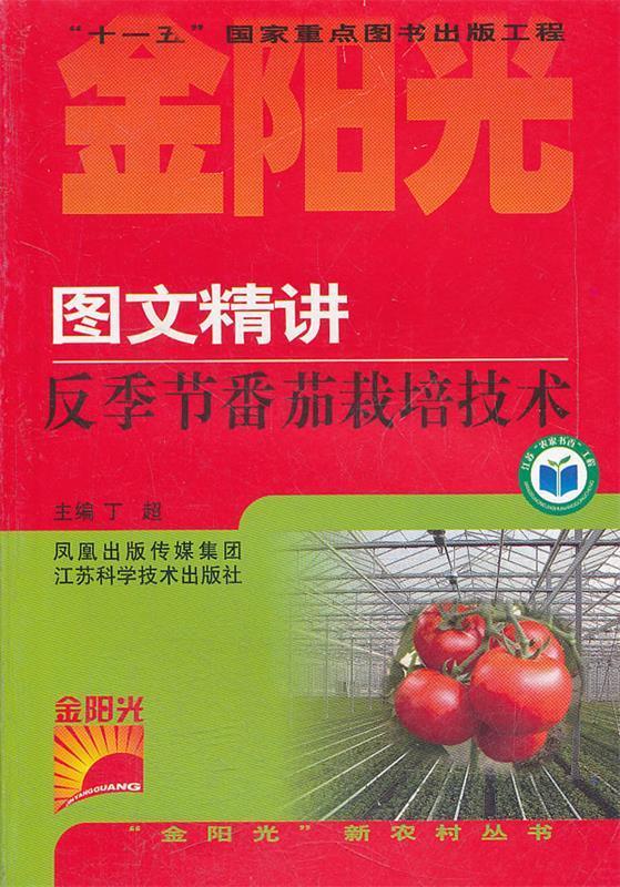 图文精讲反季节番茄栽培技术