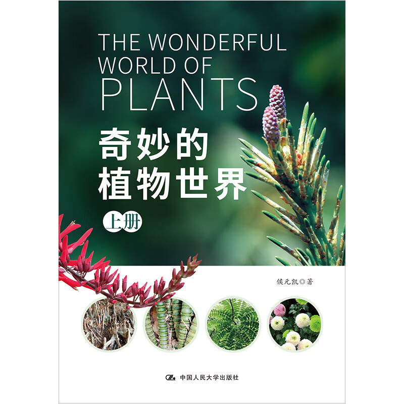 【人大社直营】奇妙的植物世界（上下册） / 侯元凯