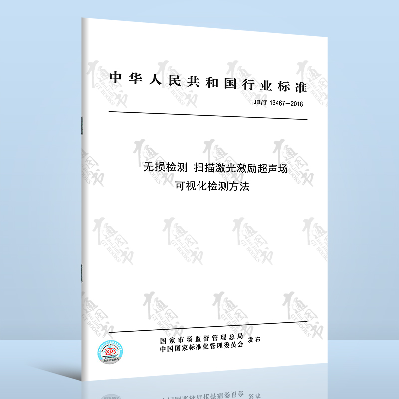 JB/T 13467-2018无损检测 扫描激光激励超声场可视化检测方法