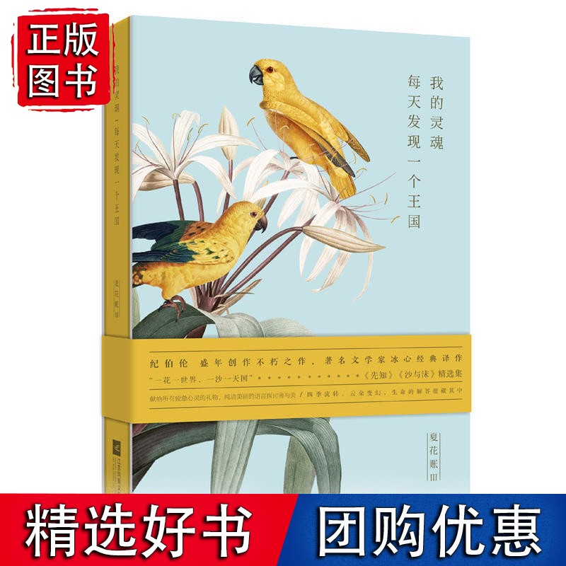 夏花账3.我的灵魂每天发现一个国